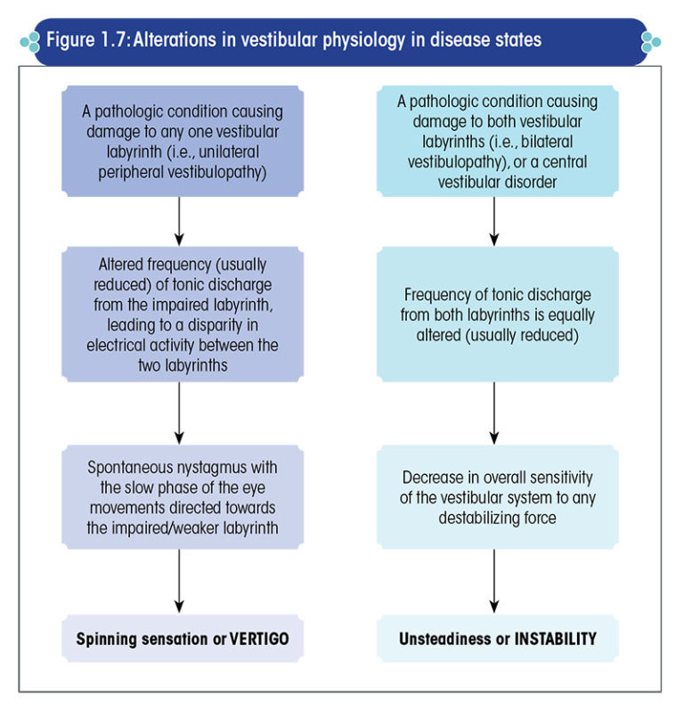 Evaluation of the vestibular system by clinical tests and by ...